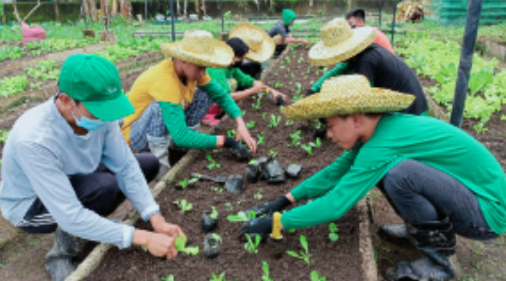 JPIC Prayer Guide – Season of Creation 2024 – RSCJ International