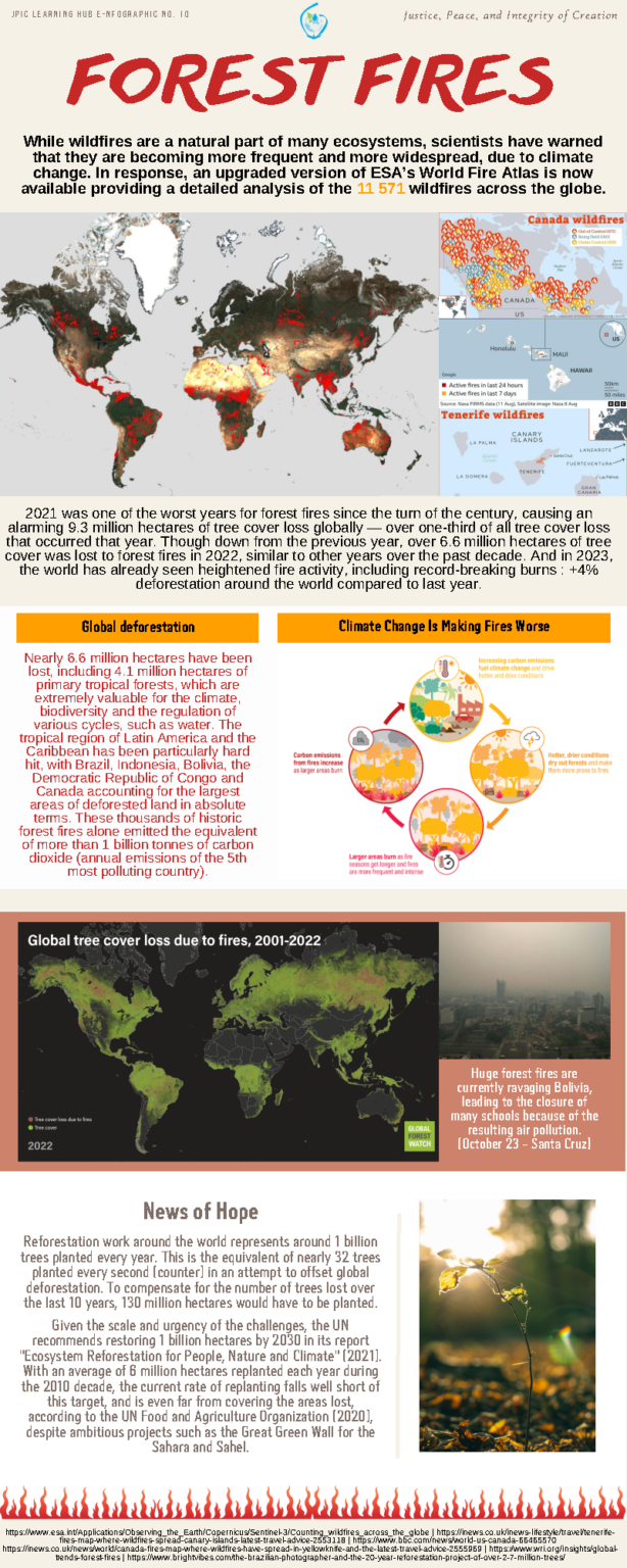 JPIC E-Infographic – Forest Fires – RSCJ International