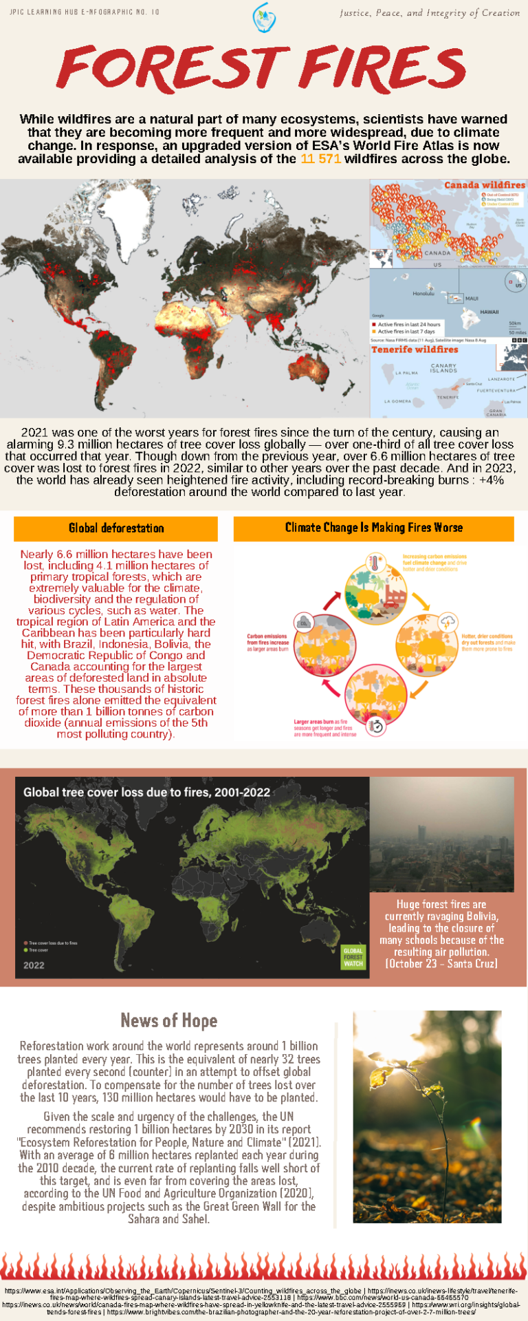 JPIC E-Infographic – Forest Fires – RSCJ International