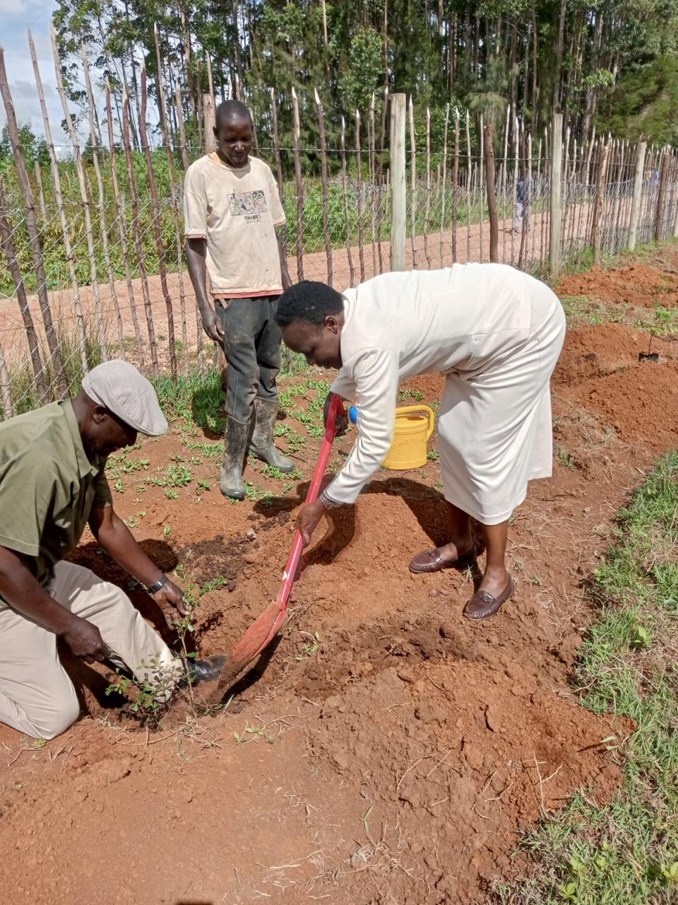 JPIC Prayer Guide – Season of Creation 2024 – RSCJ International