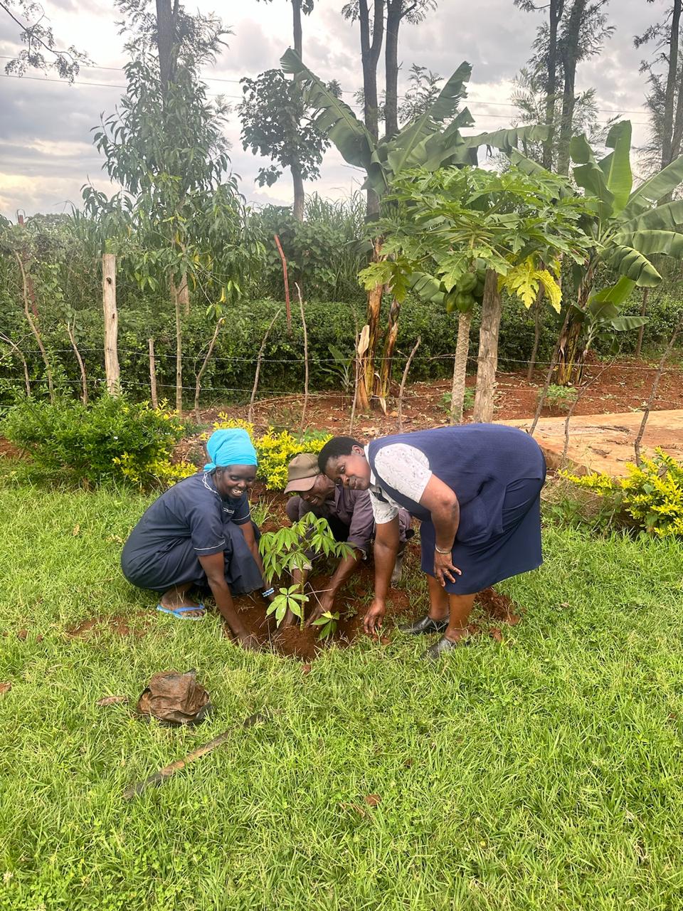 JPIC Prayer Guide – Season of Creation 2024 – RSCJ International